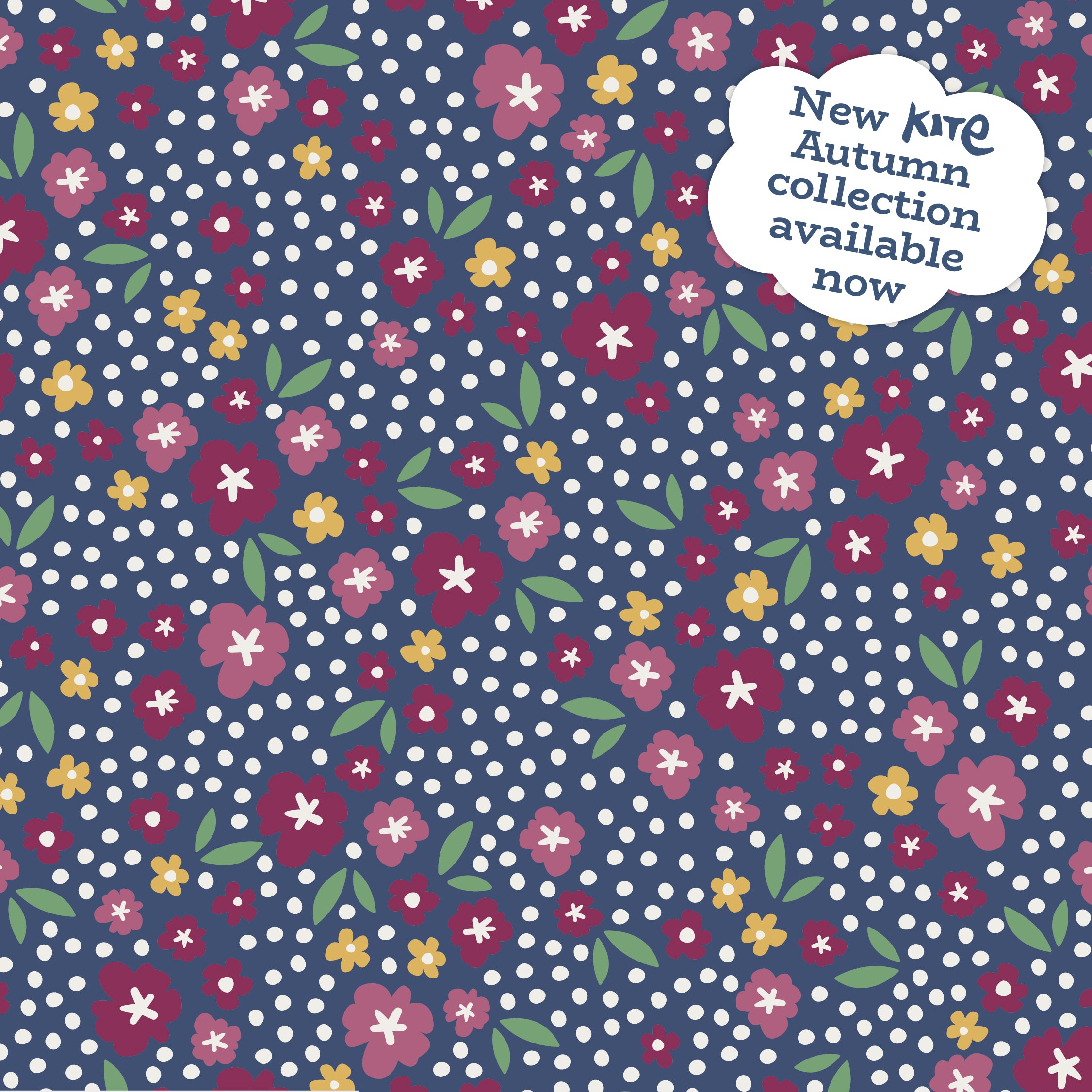 Autumn Range from Kite – Pickles & Lillies Childrenswear Ltd