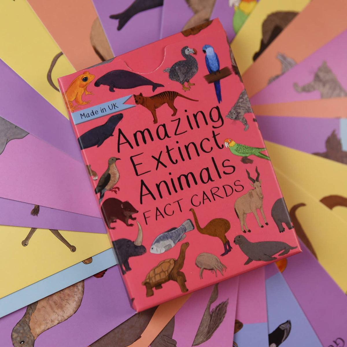 Amazing Extinct Animals Fact Cards – Pickles & Lillies Childrenswear Ltd