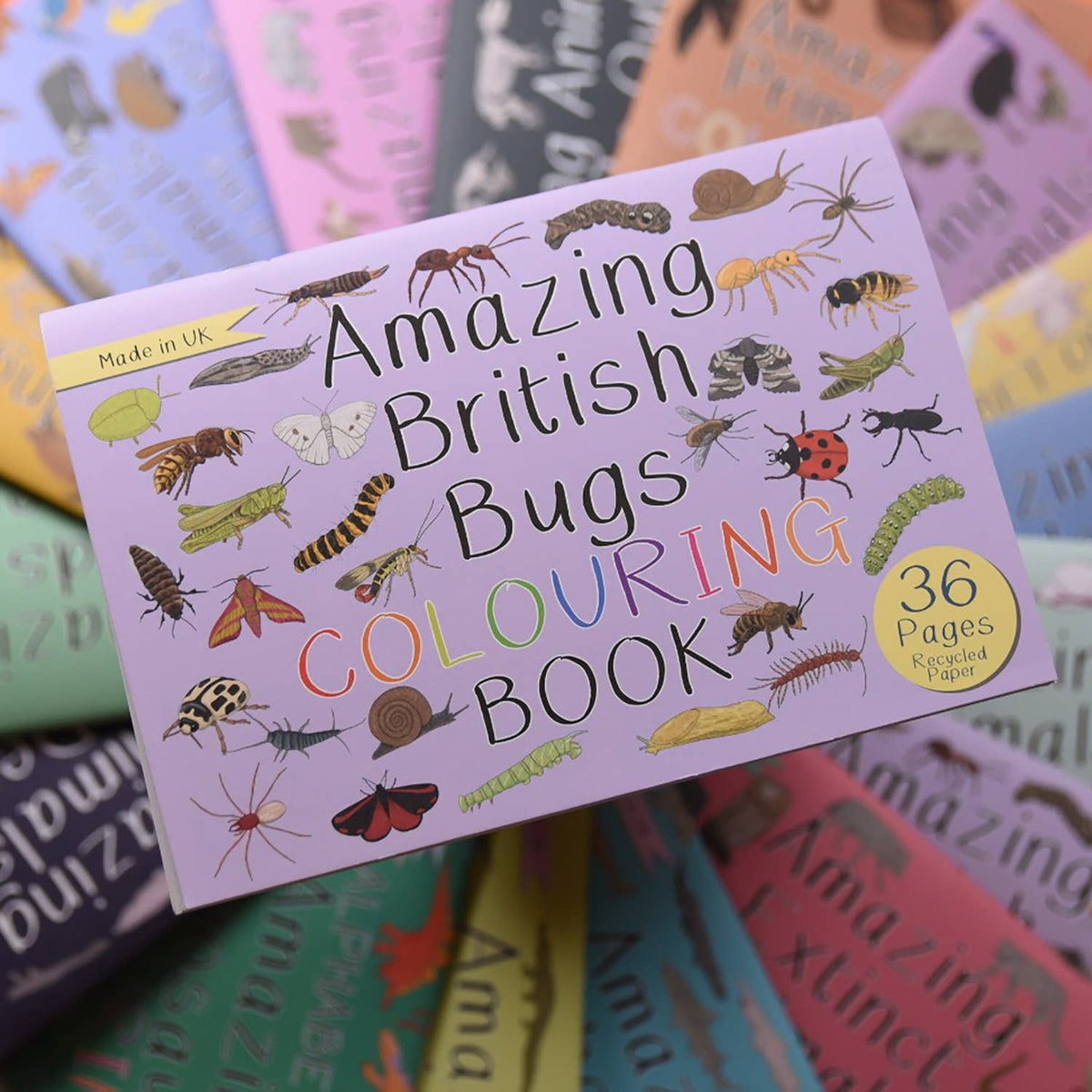 Amazing British Bugs Colouring Book – Pickles & Lillies Childrenswear Ltd
